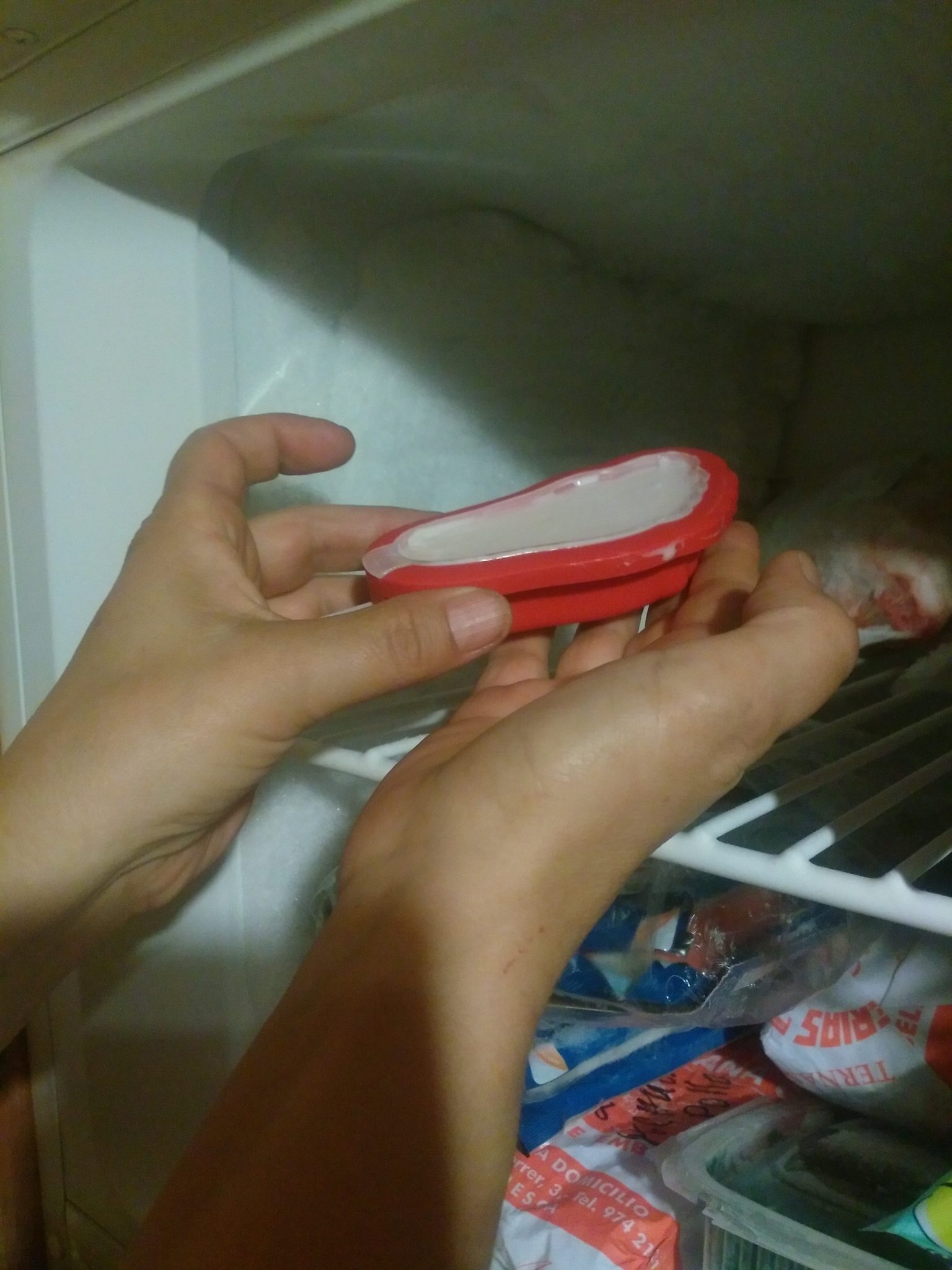 Frigopie: famoso, delicioso y fácil de hacer - Milar Huesca